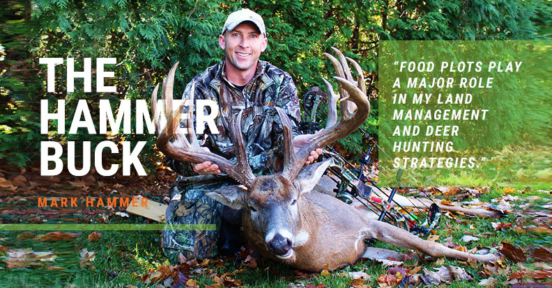 The Hammer Buck – Killer Food Plots